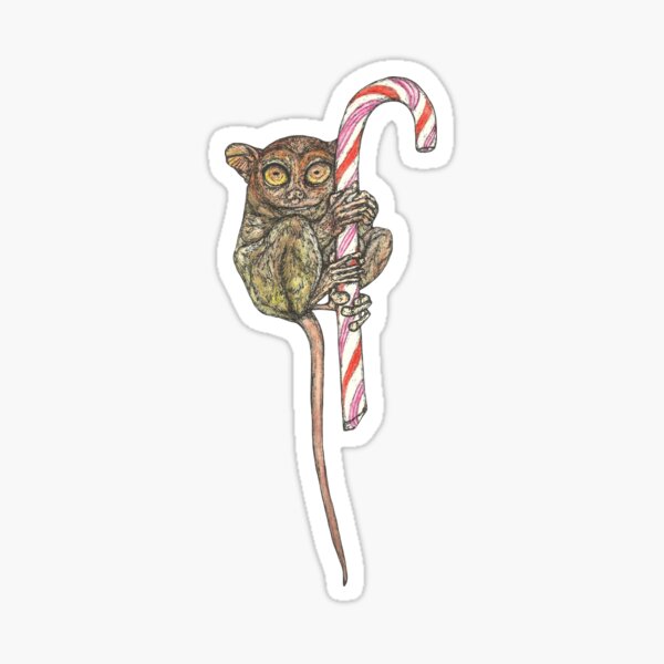 "Tarsier on a Candy Cane" Sticker by SerenSketches | Redbubble