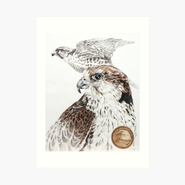 "Native american astrology sign Falcon (Aries)" Art Print by ...