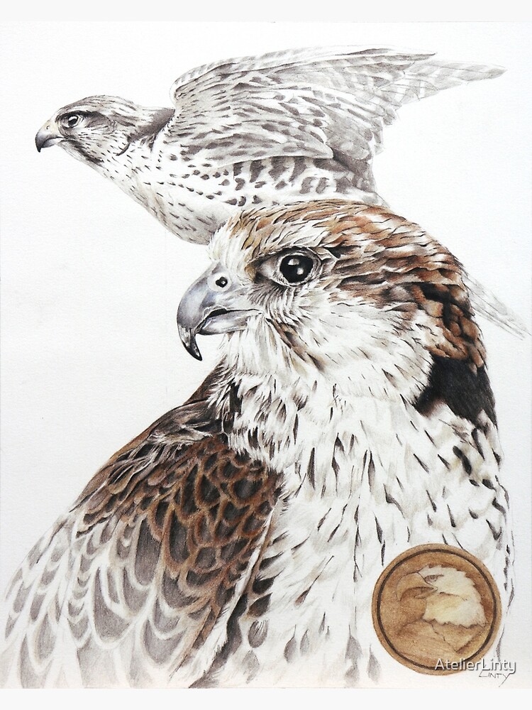 "Native american astrology sign Falcon (Aries)" Art Print by ...