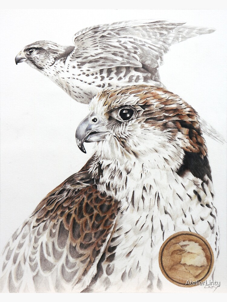 "Native american astrology sign Falcon (Aries)" Sticker for Sale by ...