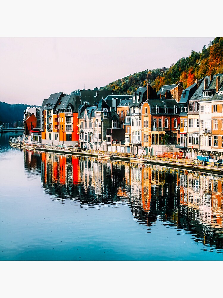 "fwc 1123 dinant" Sticker for Sale by fwc-usa-company | Redbubble