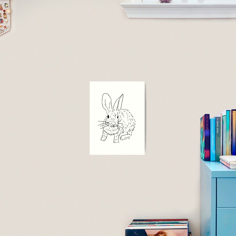 "Cottontail Rabbit - line drawing" Art Print for Sale by ...