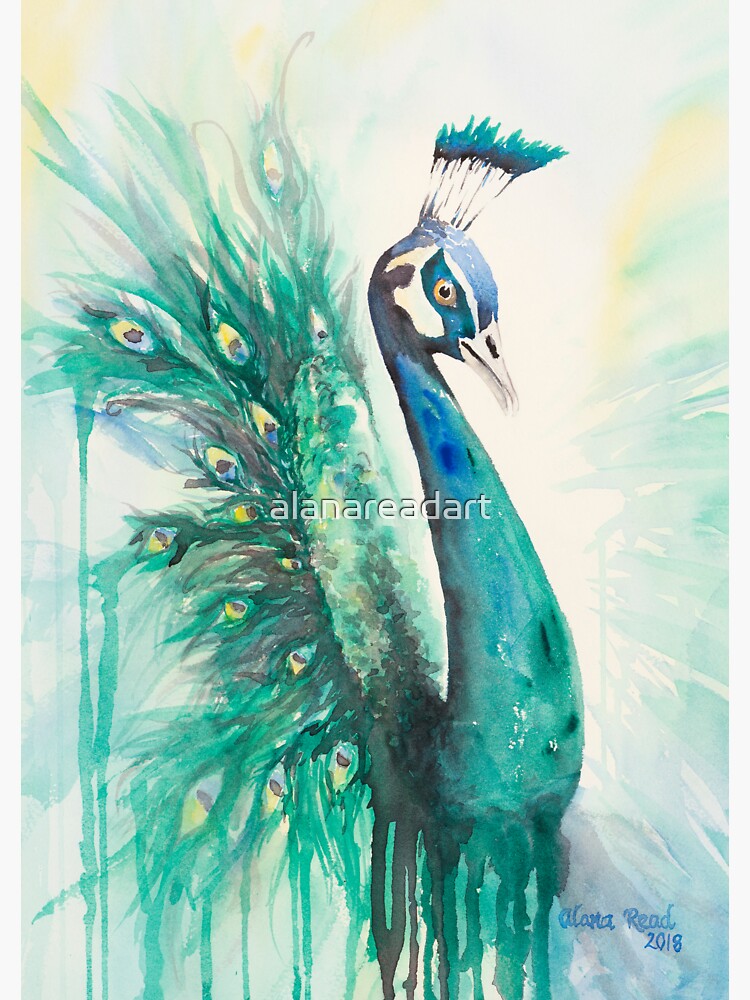 "Peacock Pride" Sticker for Sale by alanareadart | Redbubble