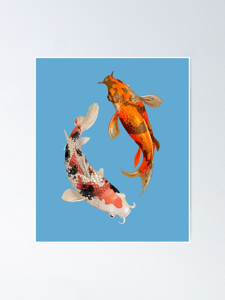 "Japanese Koi Fish" Poster by MerchPrints | Redbubble