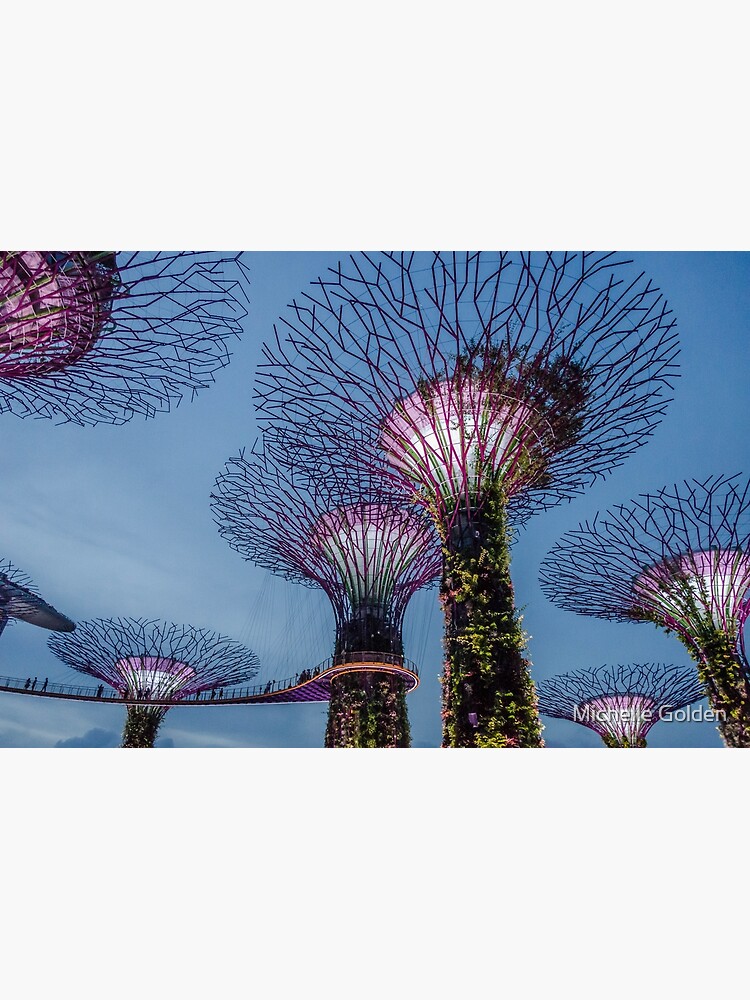 "Supertree Grove - Gardens by the Bay, Singapore" Poster by ...