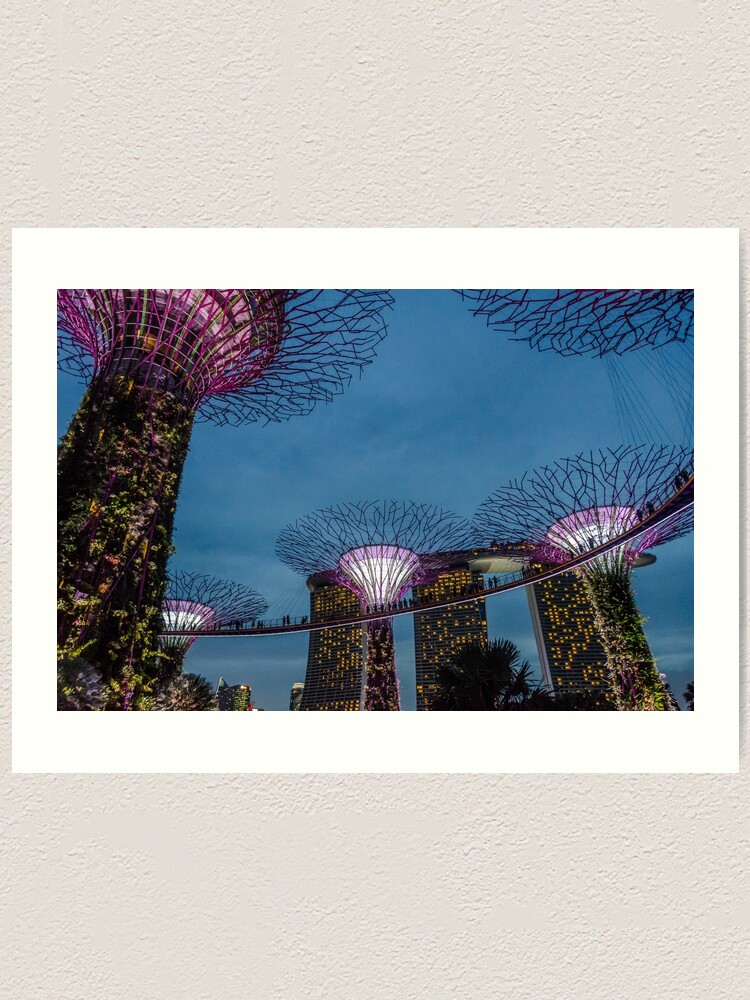 "Supertree Grove - Gardens by the Bay, Singapore" Art Print by ...