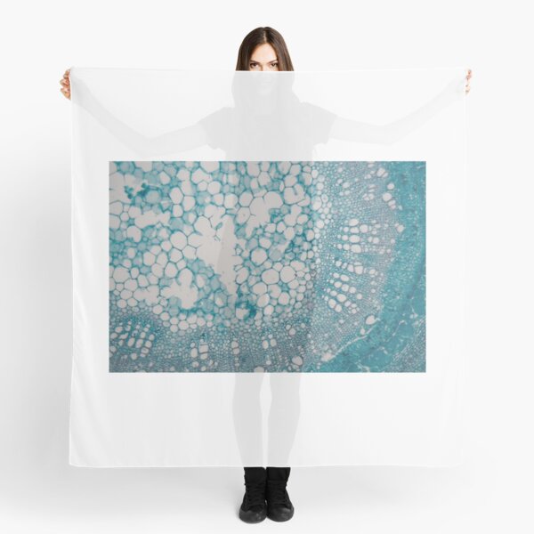 "Stem cells of a lentil plant under the microscope." Scarf by Zosimus ...