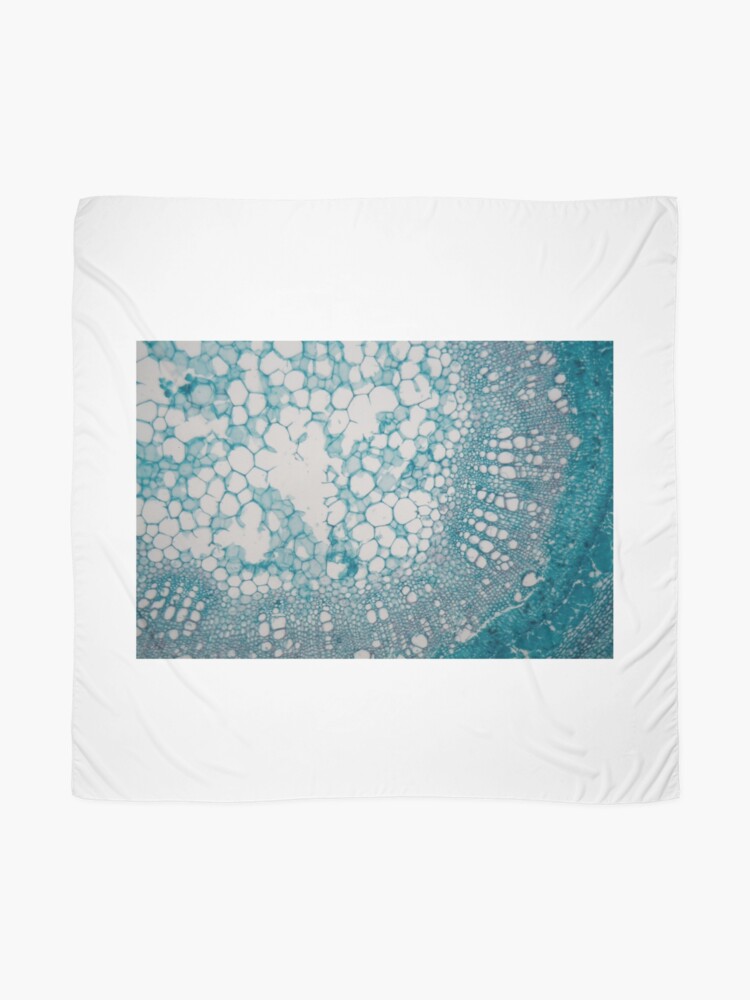 "Stem cells of a lentil plant under the microscope." Scarf by Zosimus ...