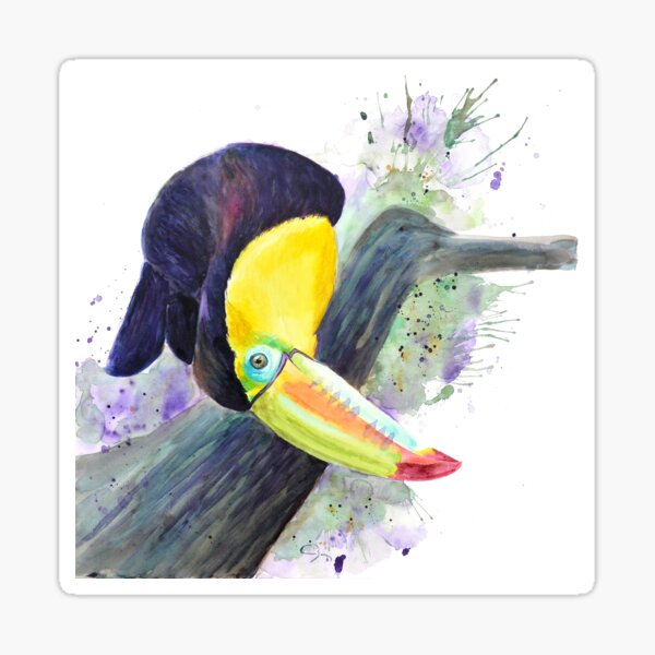 "Colorful Toucan" Sticker for Sale by cindybarillet | Redbubble