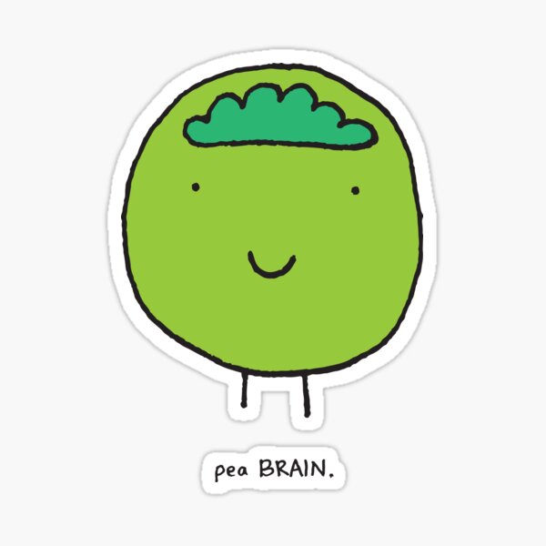 "Pea Brain - Cute Doodle" Sticker for Sale by emmafeneley | Redbubble