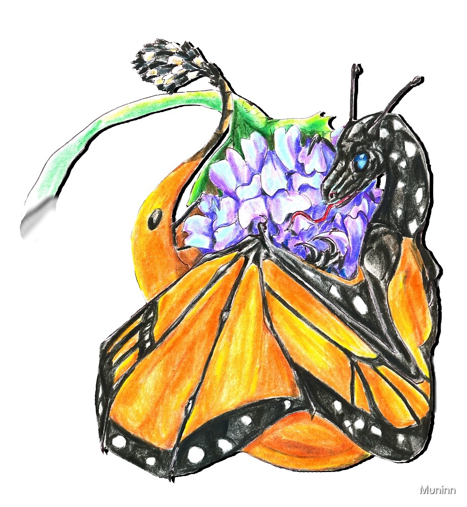 "Monarch Butterfly Dragon" by Muninn | Redbubble