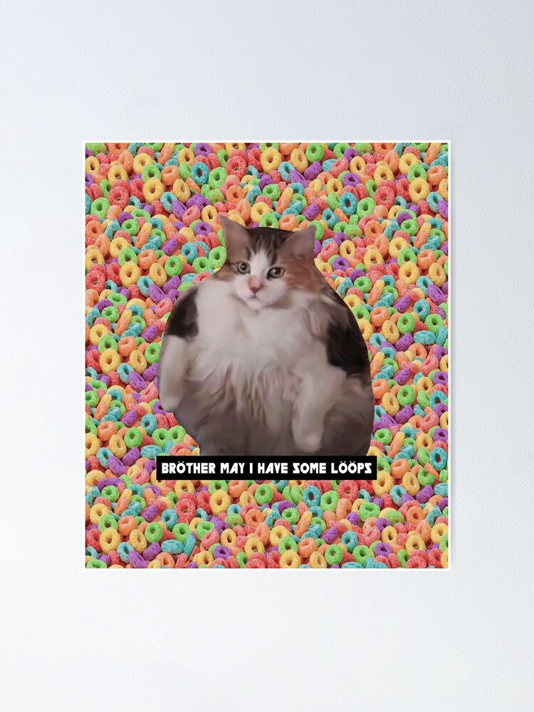 "Loops Brother Kitty" Poster for Sale by ArtsyPrincess | Redbubble