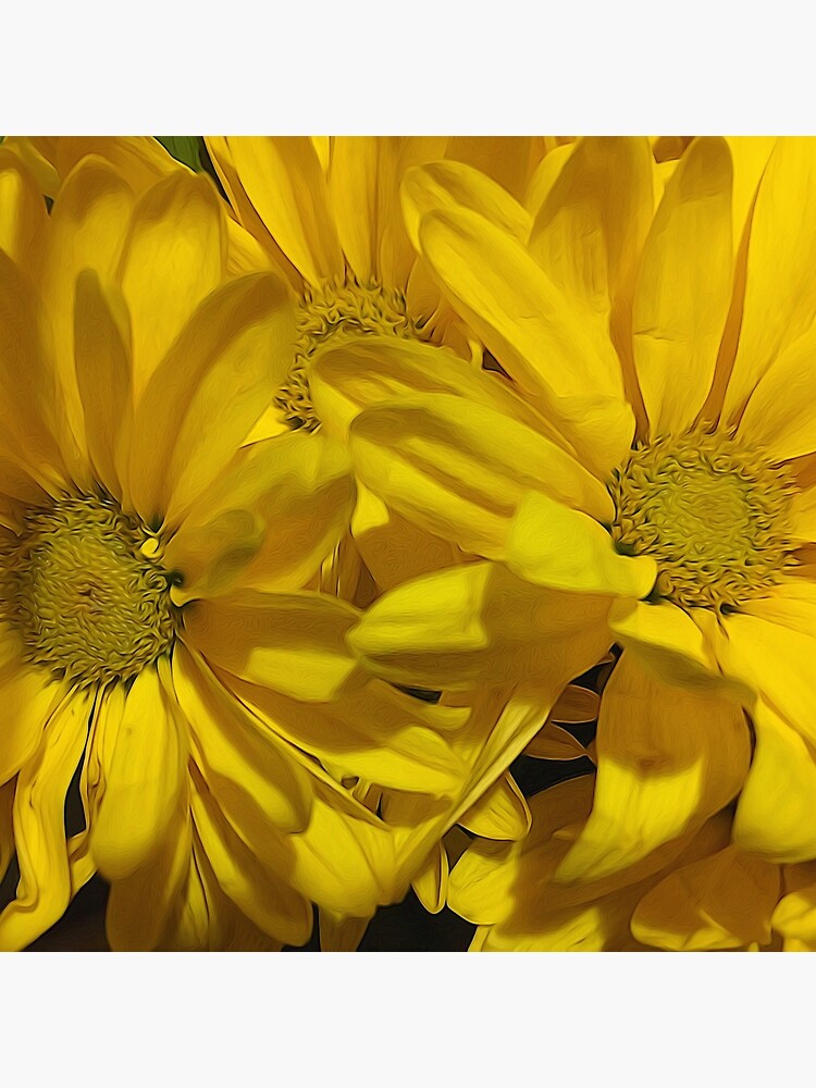 "Yellow Daisies" Poster for Sale by bloomingvine | Redbubble