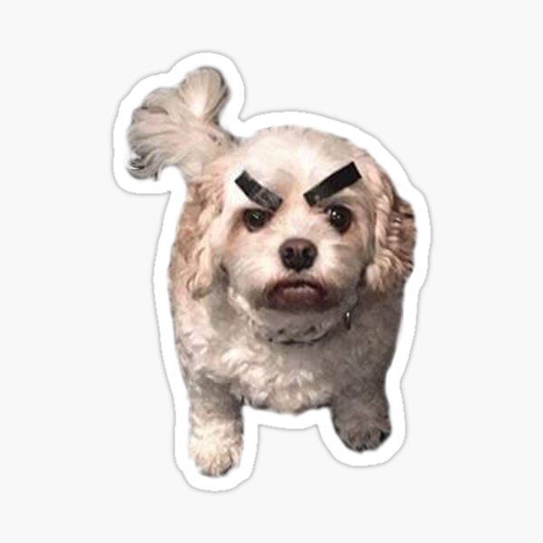 "Angry Doggo" Sticker for Sale by Elisecv | Redbubble