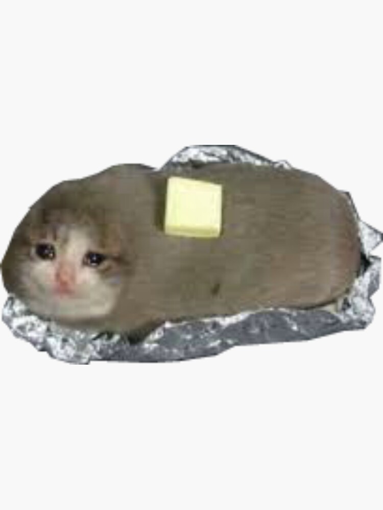 "cat potato" Sticker for Sale by SlNFULLE | Redbubble