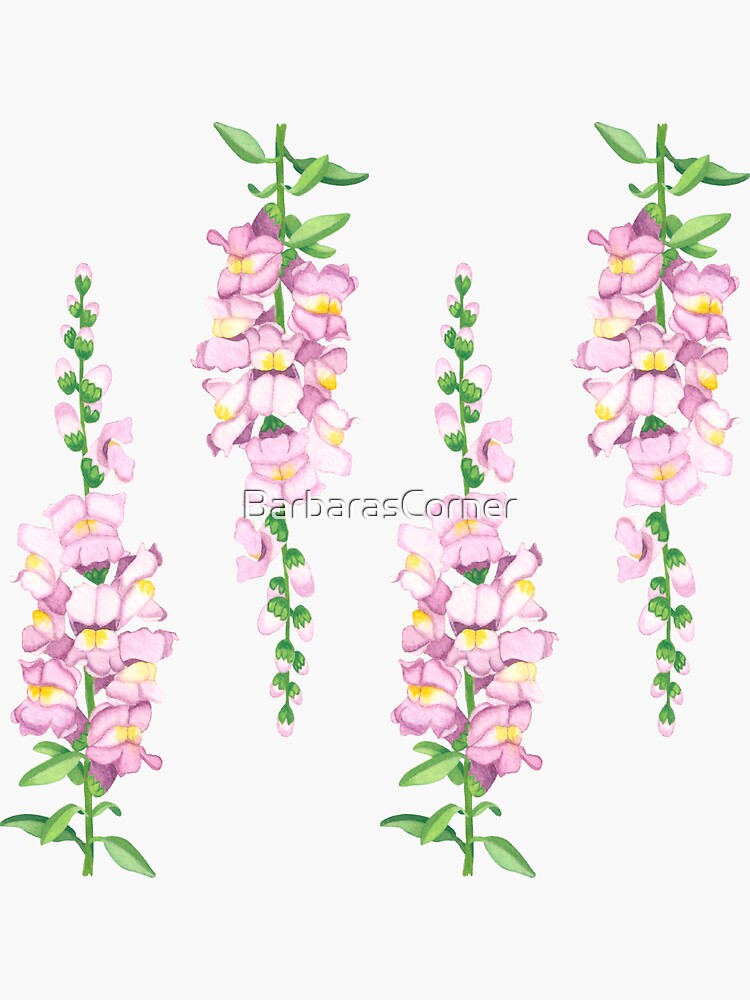 "Snapdragon flowers" Sticker for Sale by BarbarasCorner | Redbubble