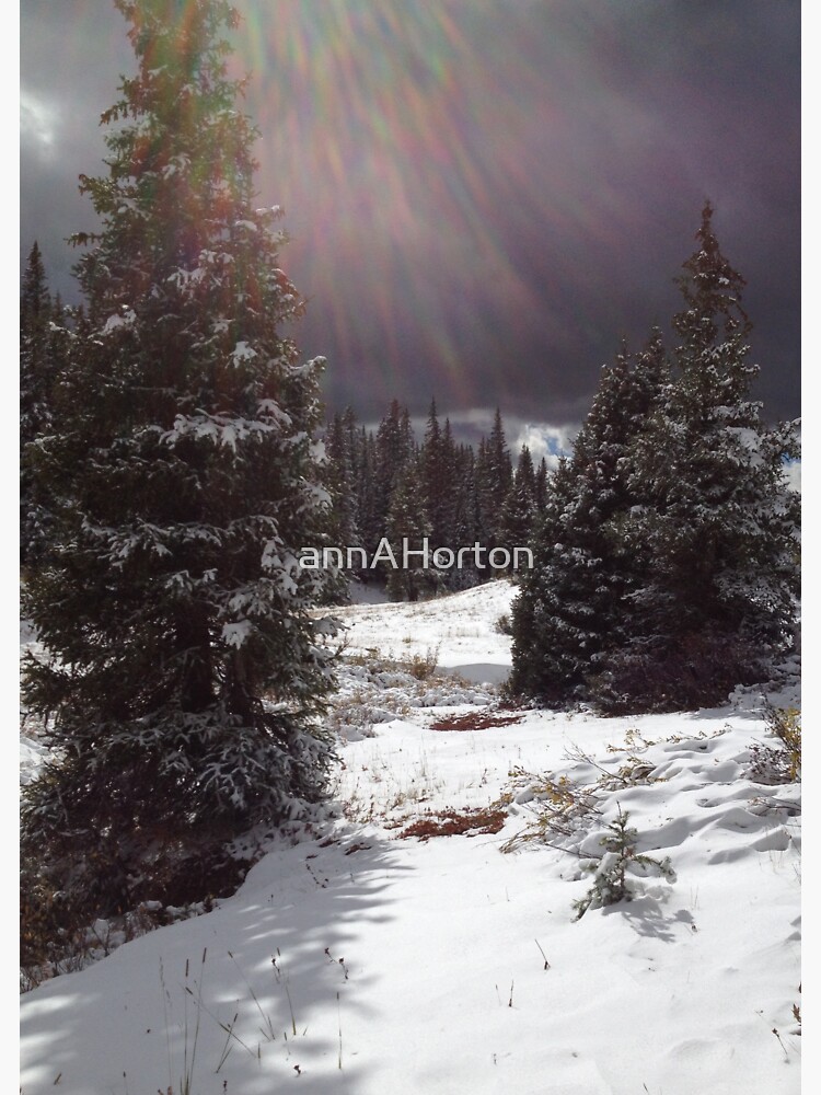 "Winter in the High Country" Sticker for Sale by annAHorton | Redbubble