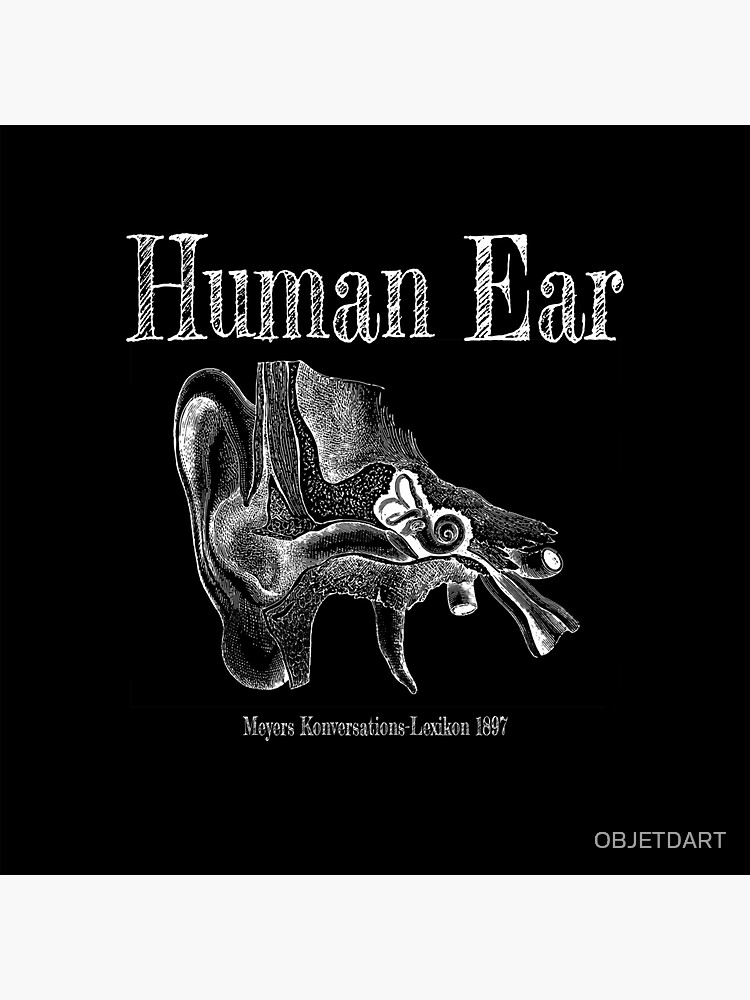 "Human Ear Anatomy" Sticker for Sale by OBJETDART | Redbubble