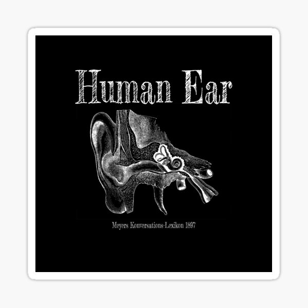 "Human Ear Anatomy" Sticker for Sale by OBJETDART | Redbubble