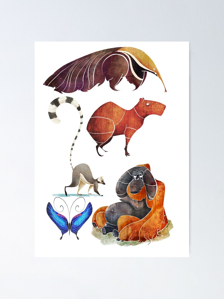 "Rainforest animals " Poster for Sale by saeiart | Redbubble