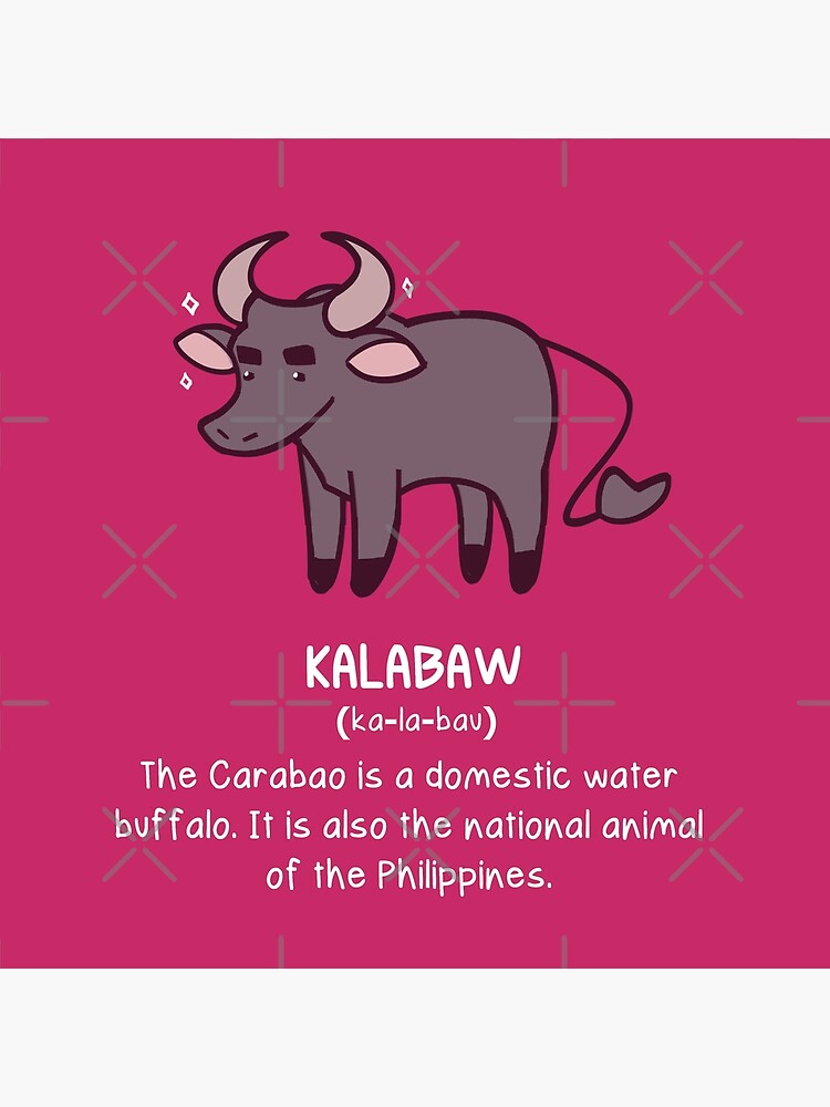 "BnW: Kalabaw" Photographic Print by Oletarts | Redbubble