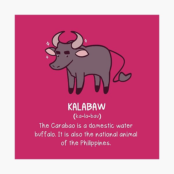 "BnW: Kalabaw" Photographic Print by Oletarts | Redbubble