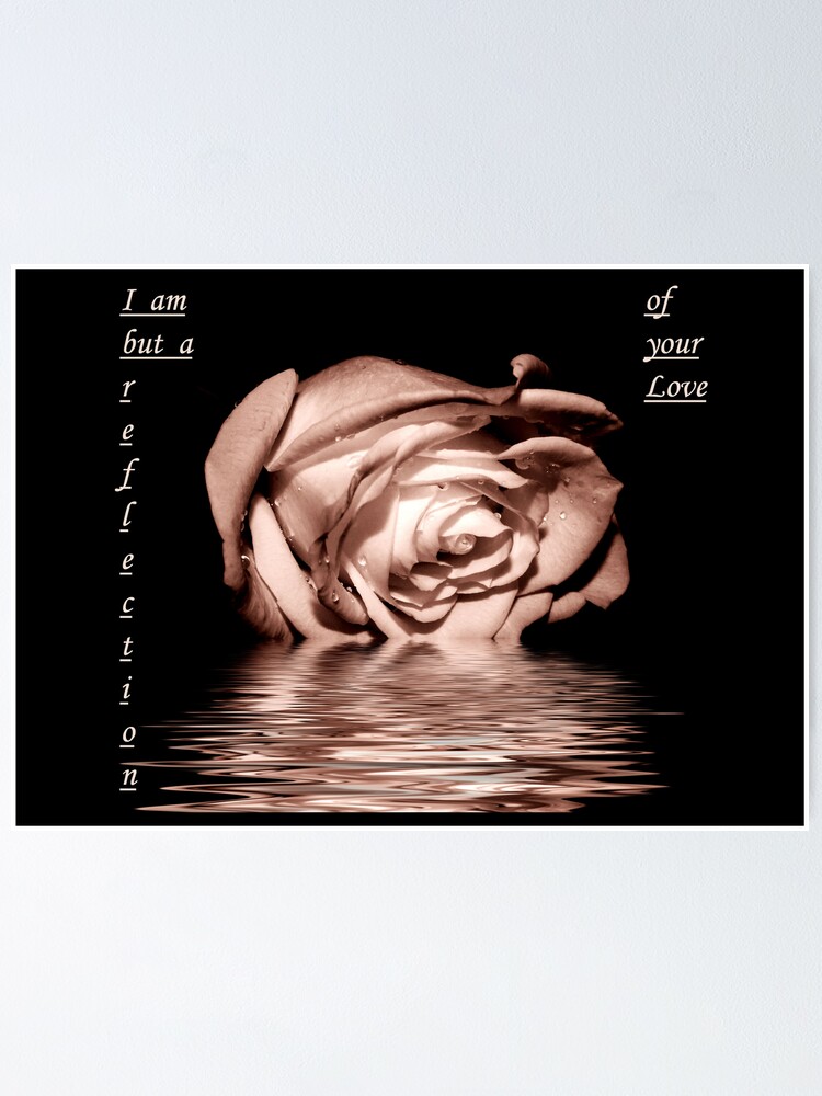 "Love Reflections" Poster by SharonD | Redbubble