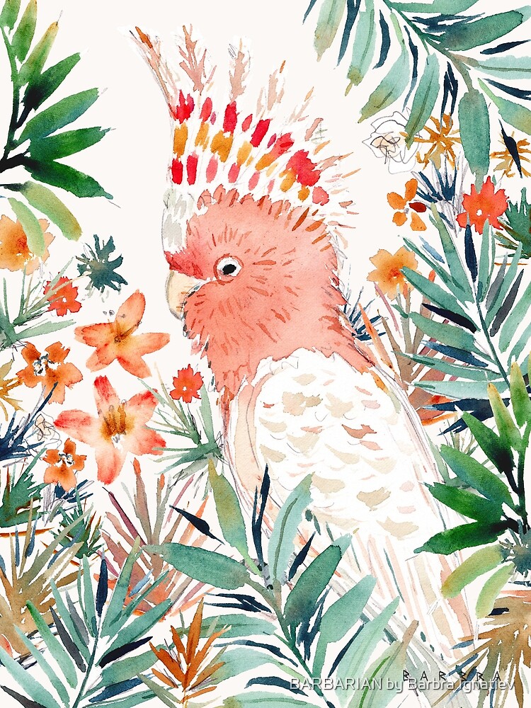 "BOOFUS the Major Mitchell’s Cockatoo" Art Print for Sale by Barbarian ...
