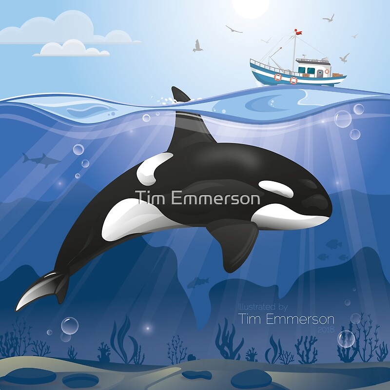 "Orca Killer Whale" by Tim Emmerson | Redbubble