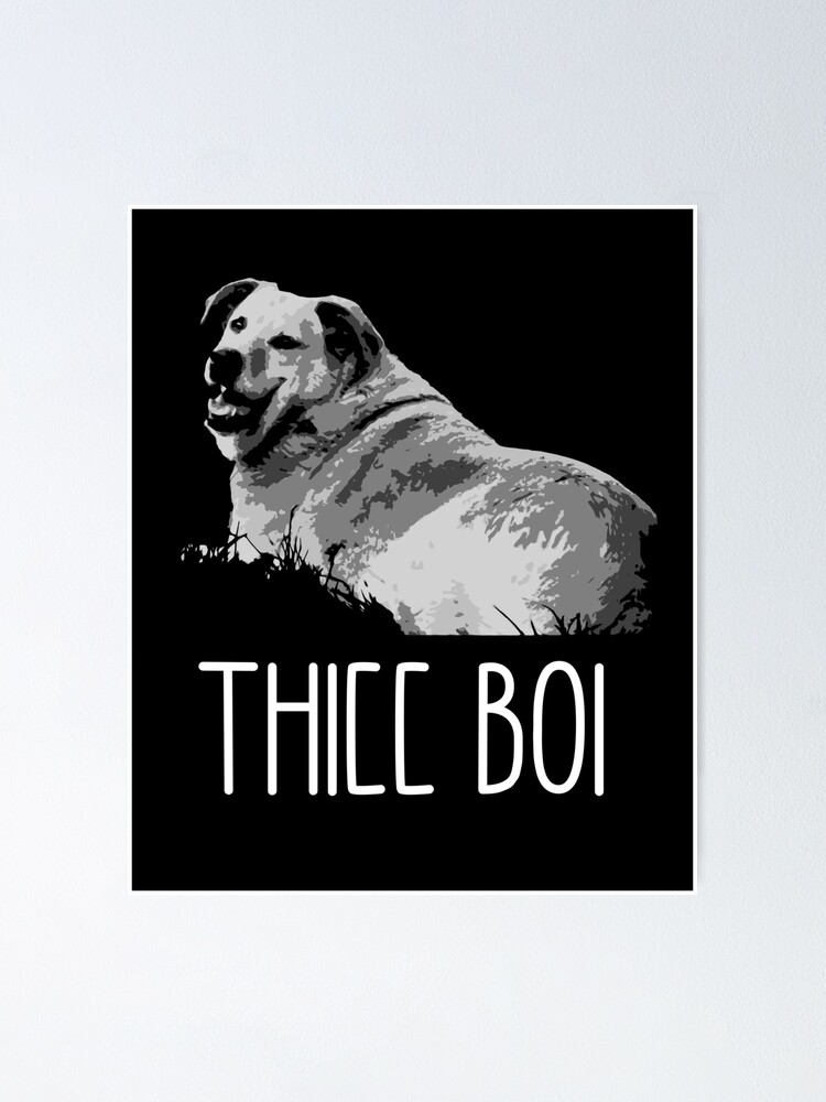 Thicc Boi Poster By Hermittamer Redbubble