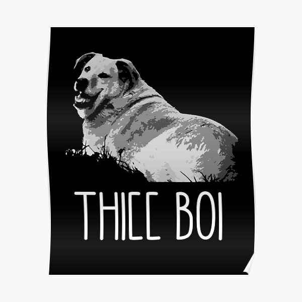 Thicc Boi Poster By Hermittamer Redbubble
