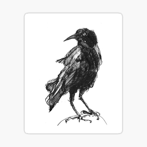 Rachel Collier-Wilson Shop | Redbubble