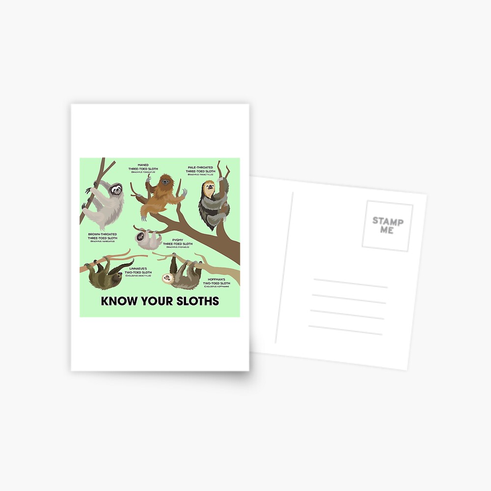 "Know Your Sloths" Postcard by PepomintNarwhal | Redbubble