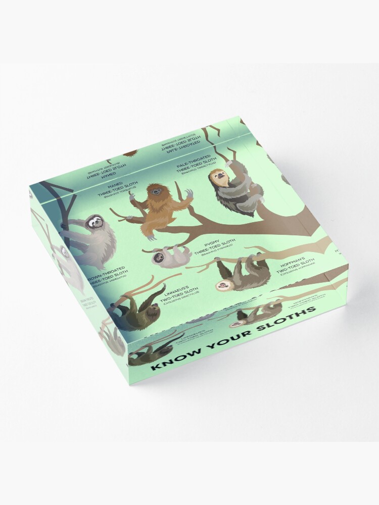 "Know Your Sloths" Acrylic Block for Sale by PepomintNarwhal | Redbubble