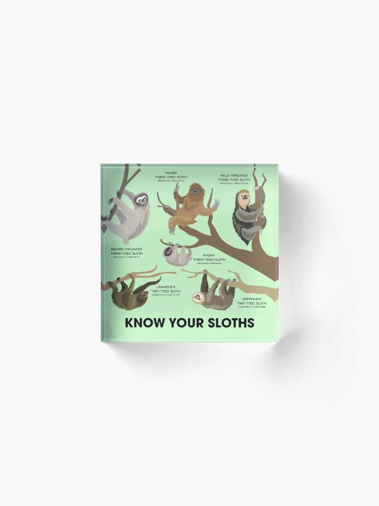 "Know Your Sloths" Acrylic Block for Sale by PepomintNarwhal | Redbubble