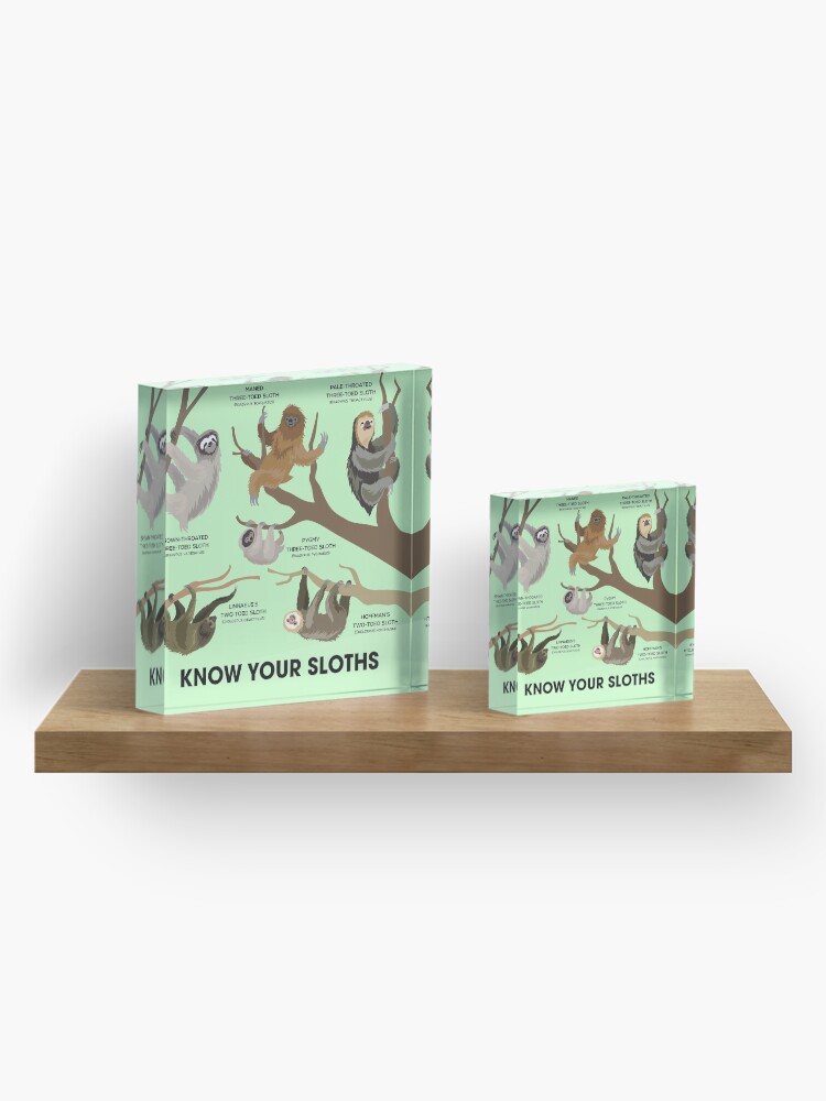 "Know Your Sloths" Acrylic Block for Sale by PepomintNarwhal | Redbubble