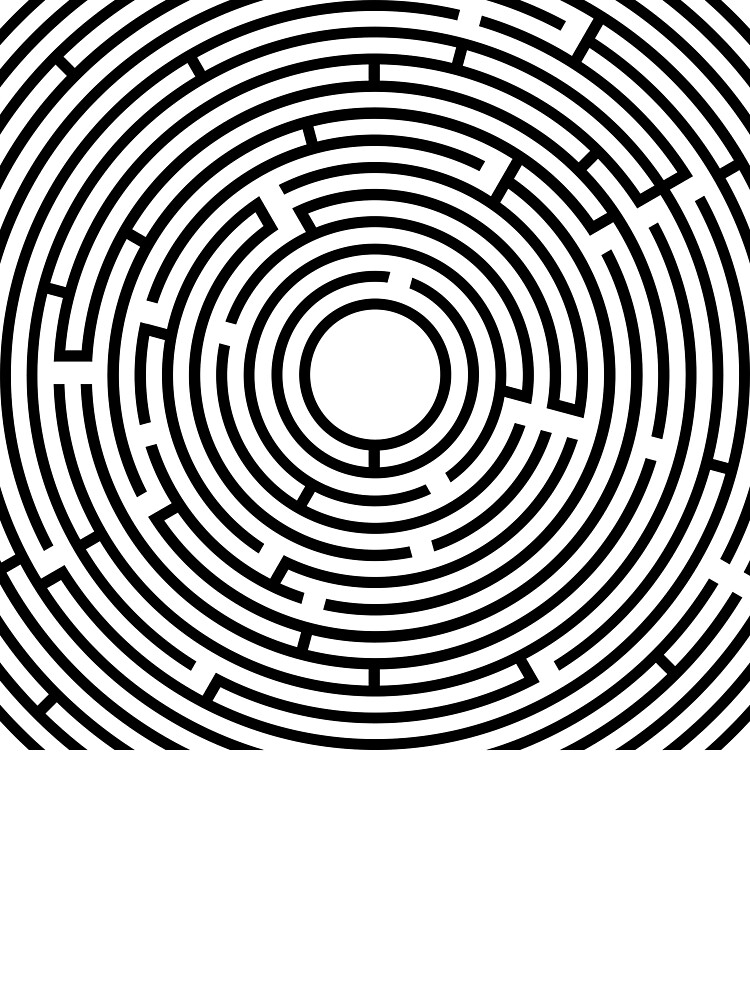 "An Unsolvable Maze" Poster for Sale by BunnyDojo | Redbubble