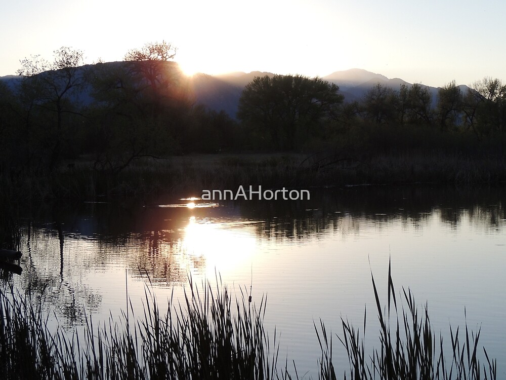 "Fountain Nature Center ponds" by annAHorton | Redbubble