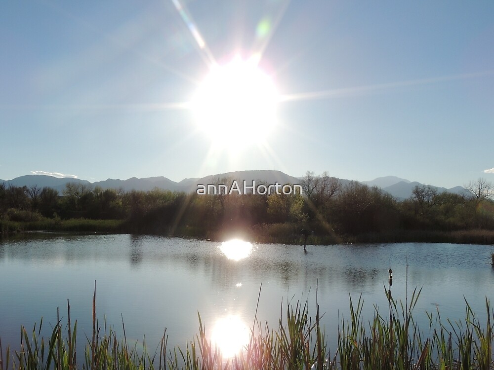 "Sunburst at Fountain Nature Center" by annAHorton | Redbubble
