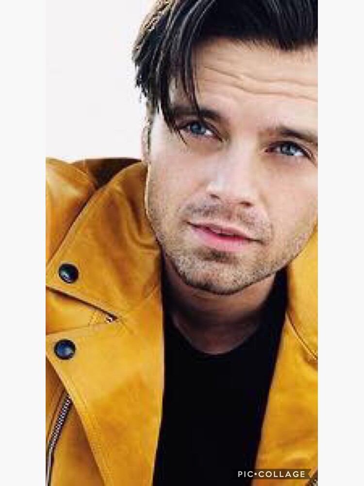 "Sebastian Stan " Sticker by Becca-1805 | Redbubble