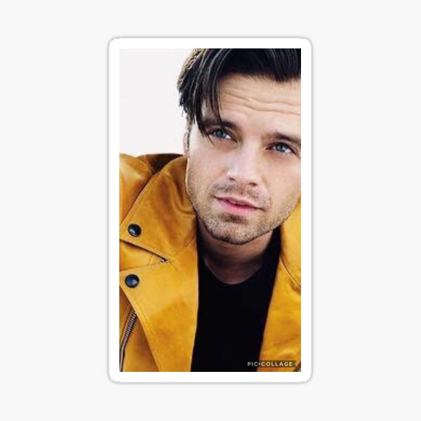 "Sebastian Stan " Sticker by Becca-1805 | Redbubble