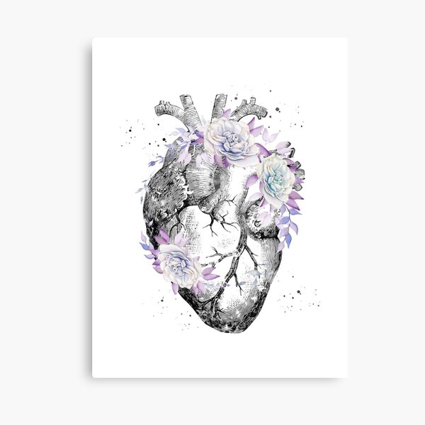 "Human Heart" Canvas Print for Sale by erzebetth | Redbubble