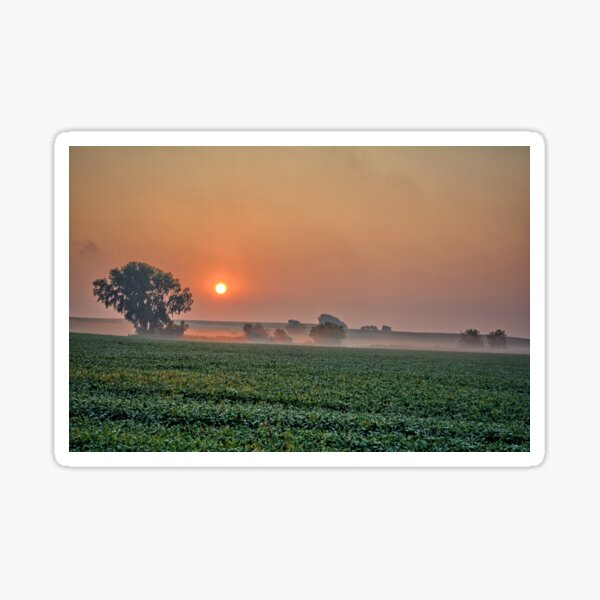 "Soybean Fog" Sticker for Sale by Duane Klipping | Redbubble