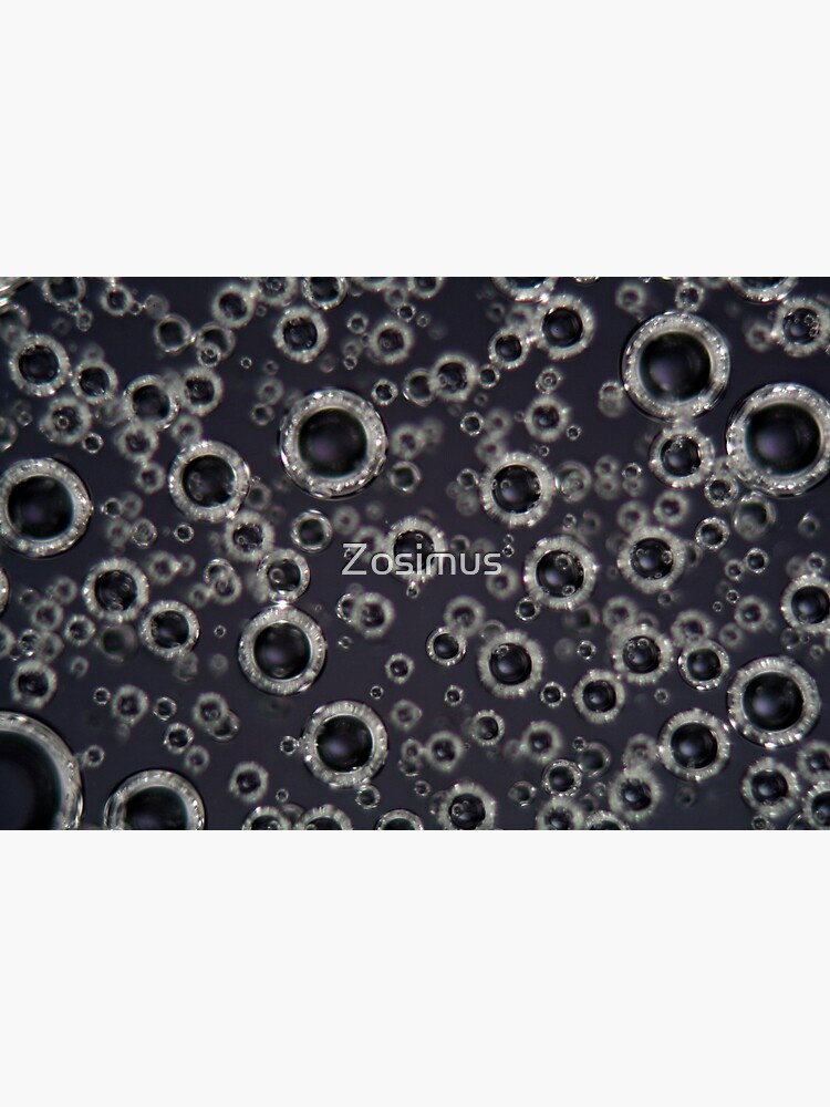 "Air bubbles in a surfactant fluid under a microscope and in polarized ...