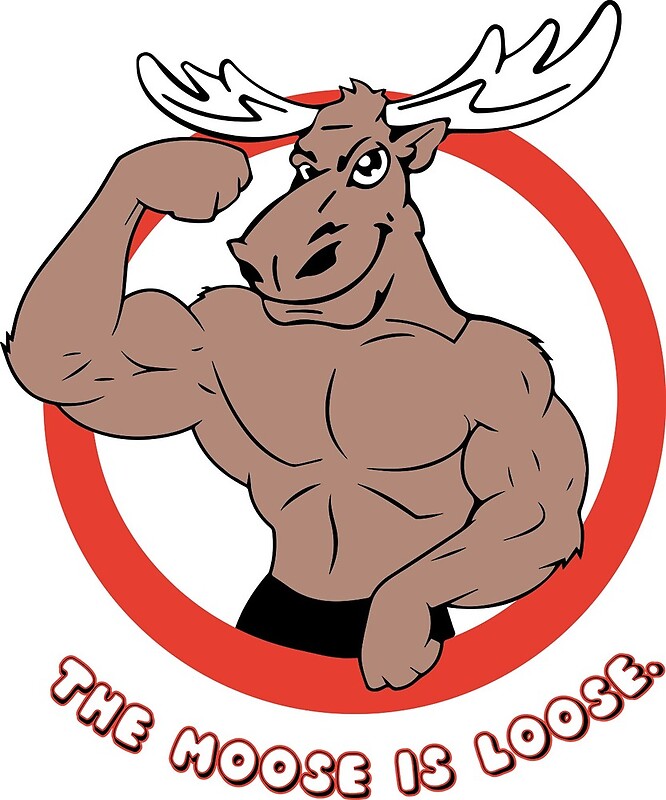 "Buff Moose" by Dovion | Redbubble