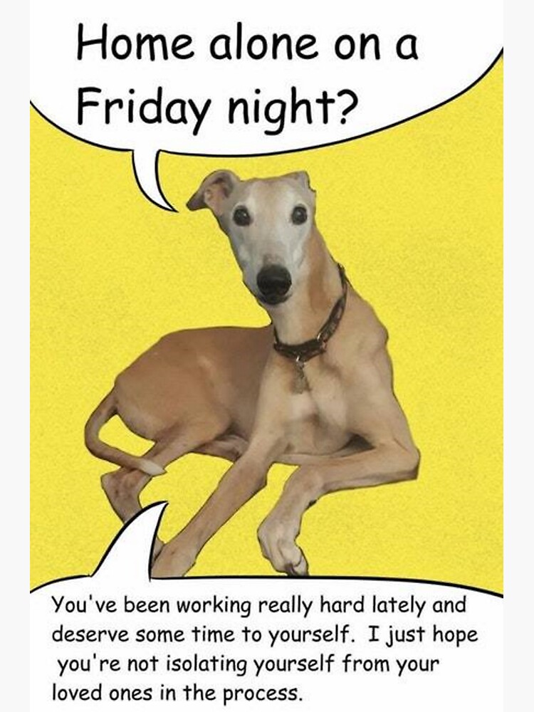 "Home Alone On A Friday Night Dog" Sticker for Sale by snacksbuddy ...