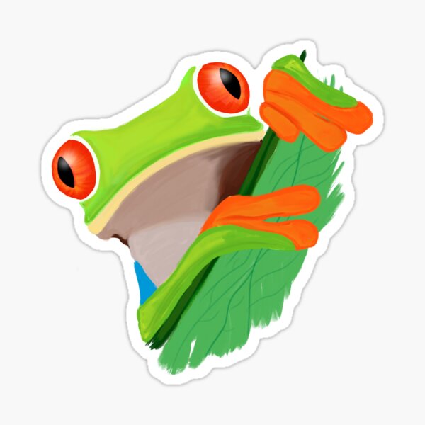 "Red-eyed Tree Frog" Sticker by Camion14 | Redbubble
