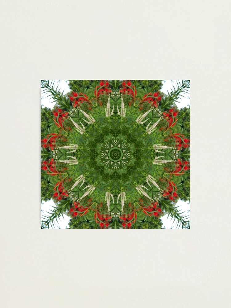 "Cardinal flower and Culver's root kaleidoscope" Photographic Print by ...