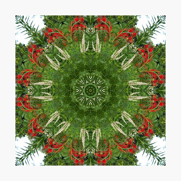 "Cardinal flower and Culver's root kaleidoscope" Photographic Print by ...
