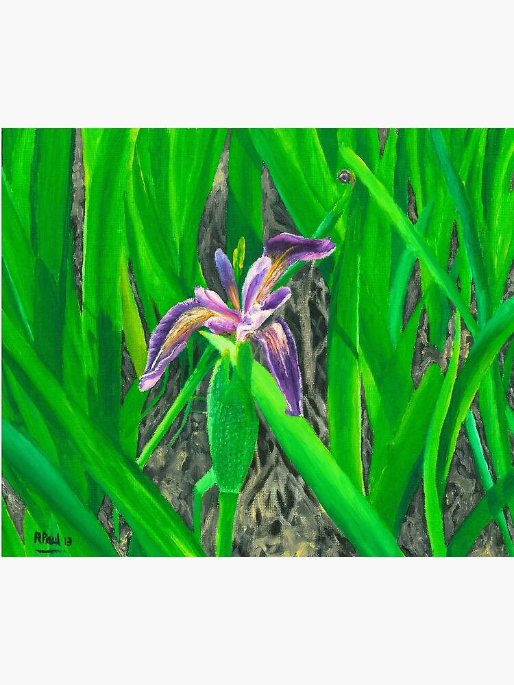 "Purple Iris - Harris" Framed Art Print for Sale by richardpaul | Redbubble